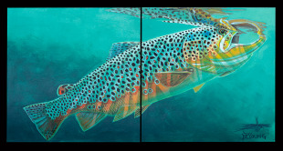 Trout Rising Series | Derek DeYoung